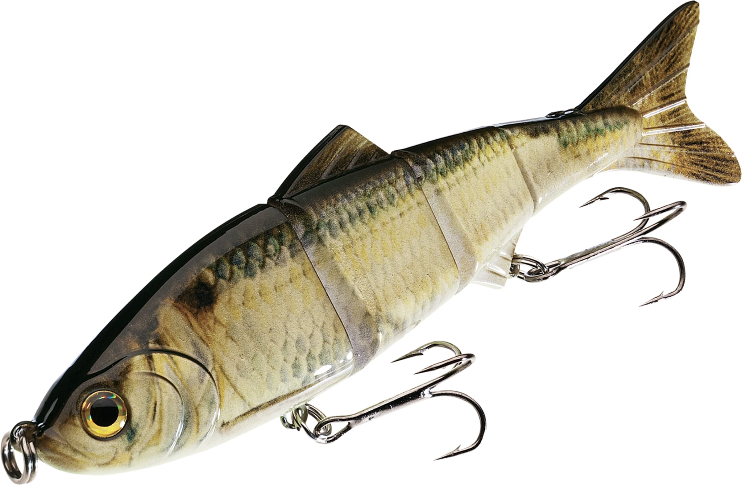 Bass Pro Shops® XPS® RealImage® HDS Swimbait | Bass Pro Shops Canada